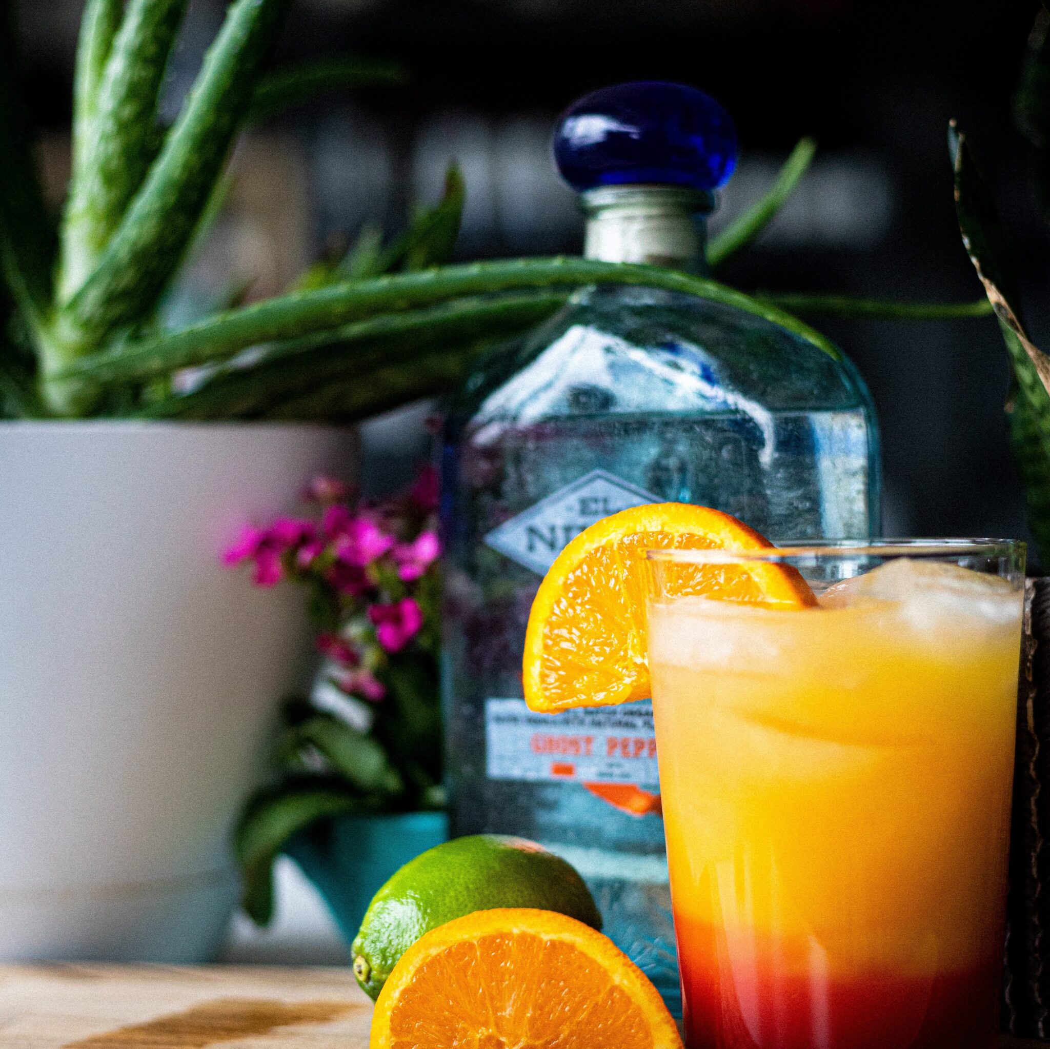 15 ideias de drinks clássicos para bar: lista com receitas