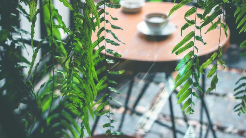 Ideias para decoração de lanchonete pequena e simples - Simpliza